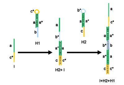 DNA-Based MicroNano-Integration 2010